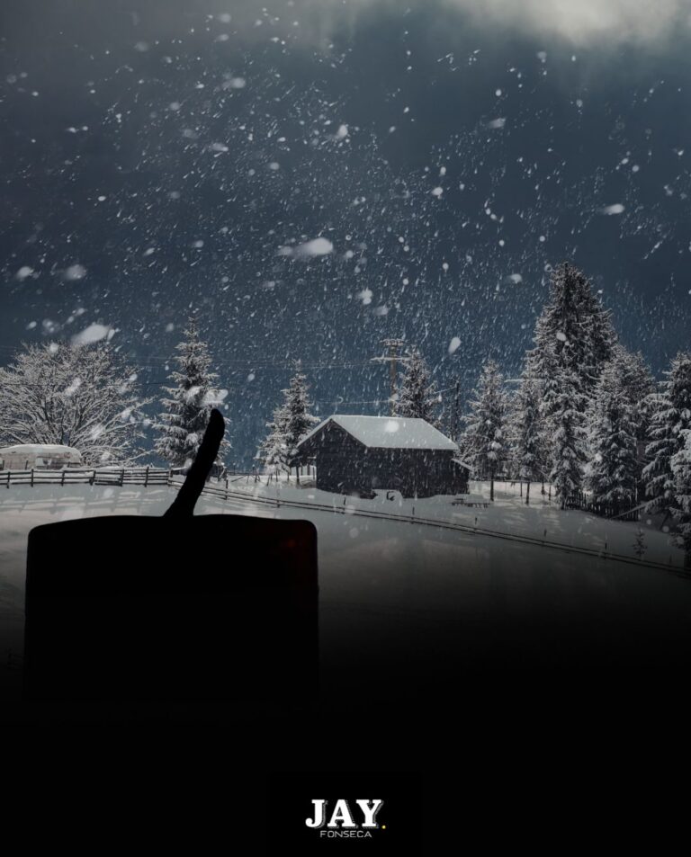 Jay Fonseca - Al menos 12 personas mueren en tormenta, 800 mil están ...